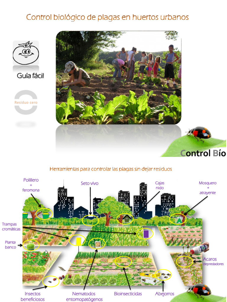 Control Biologico en Huertos Urbanos | PDF | Control biológico de ...