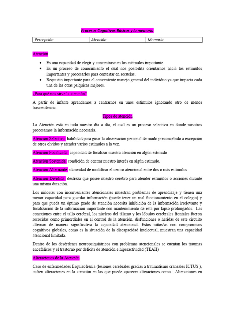 Procesos Cognitivos Básicos y La Memoria | PDF | Percepción | Atención