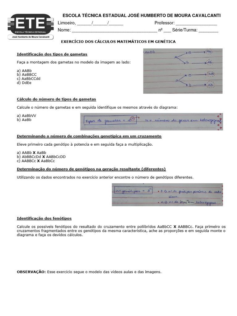 Exercício Dos Cálculos Matemáticos 01 | PDF