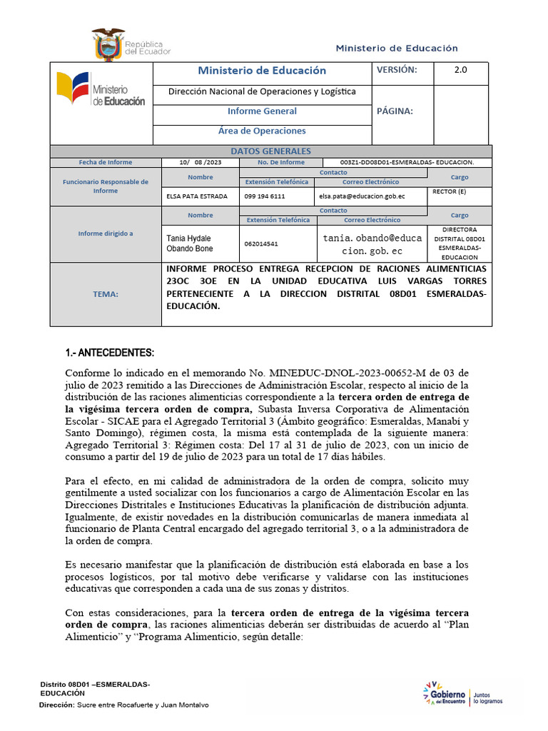 Modelo de Informe | PDF
