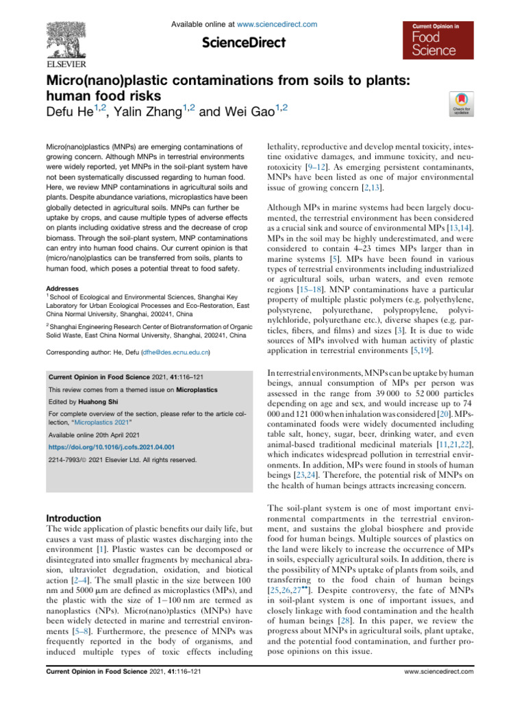 Micro (Nano) Plastic Contaminations From Soils To Plants: Human Food ...