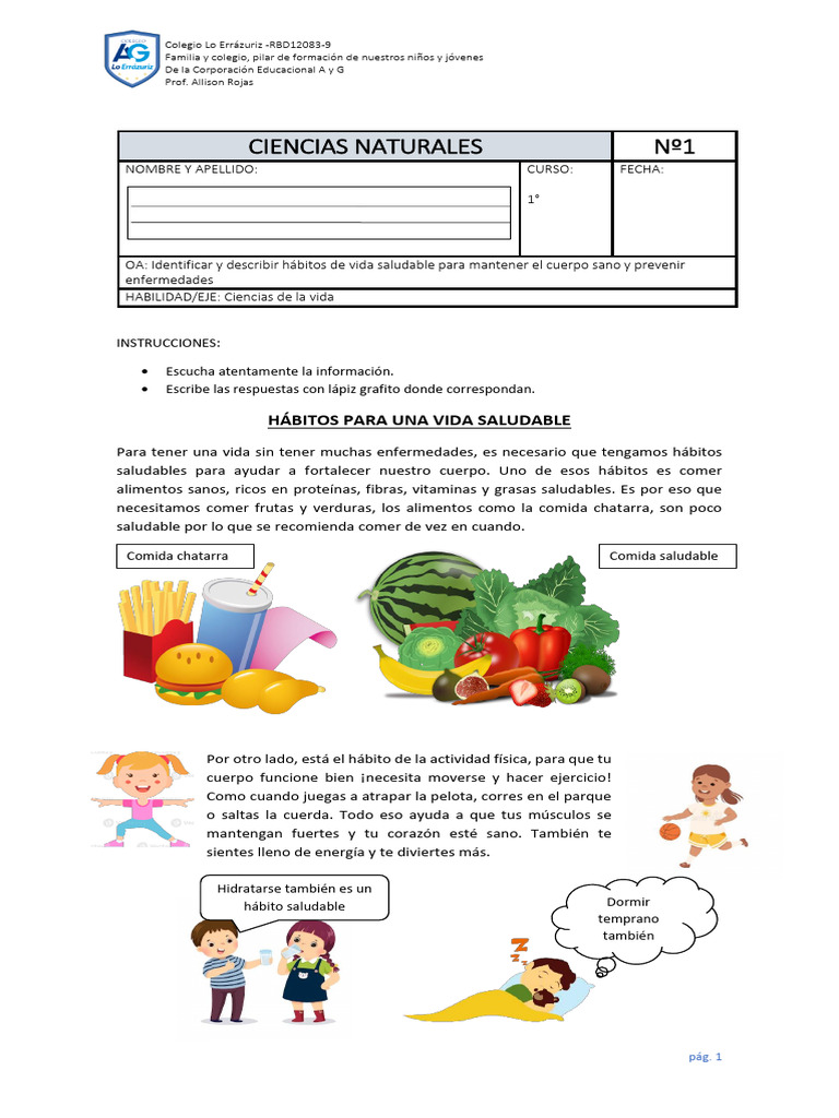 Hábitos Saludables Para Niños Pdf Alimentos
