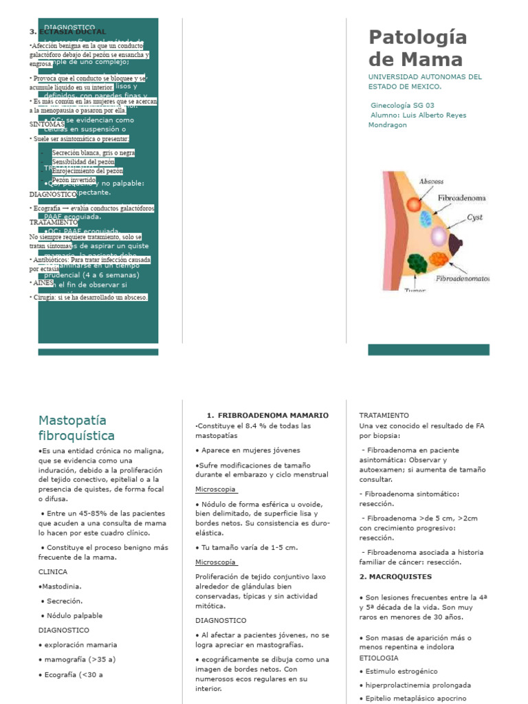 Patología de Mama | PDF | Pecho | Cáncer de mama