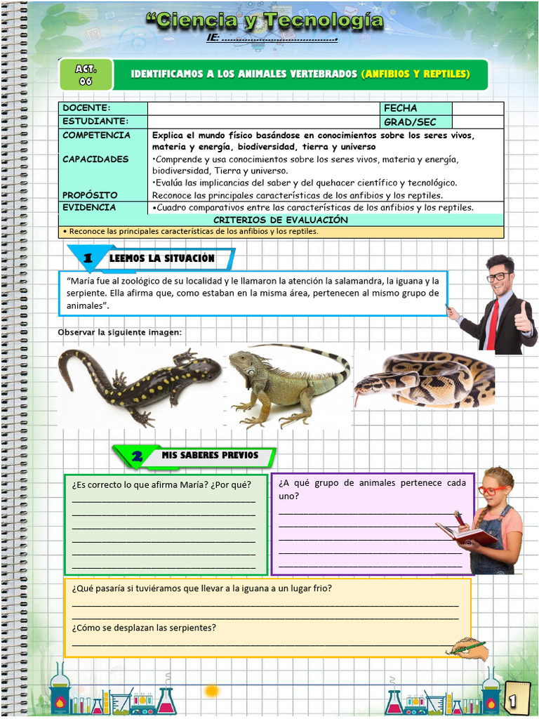 Los Animales Vertebrados. Los Anfibios y Los Reptiles | PDF | Zoología