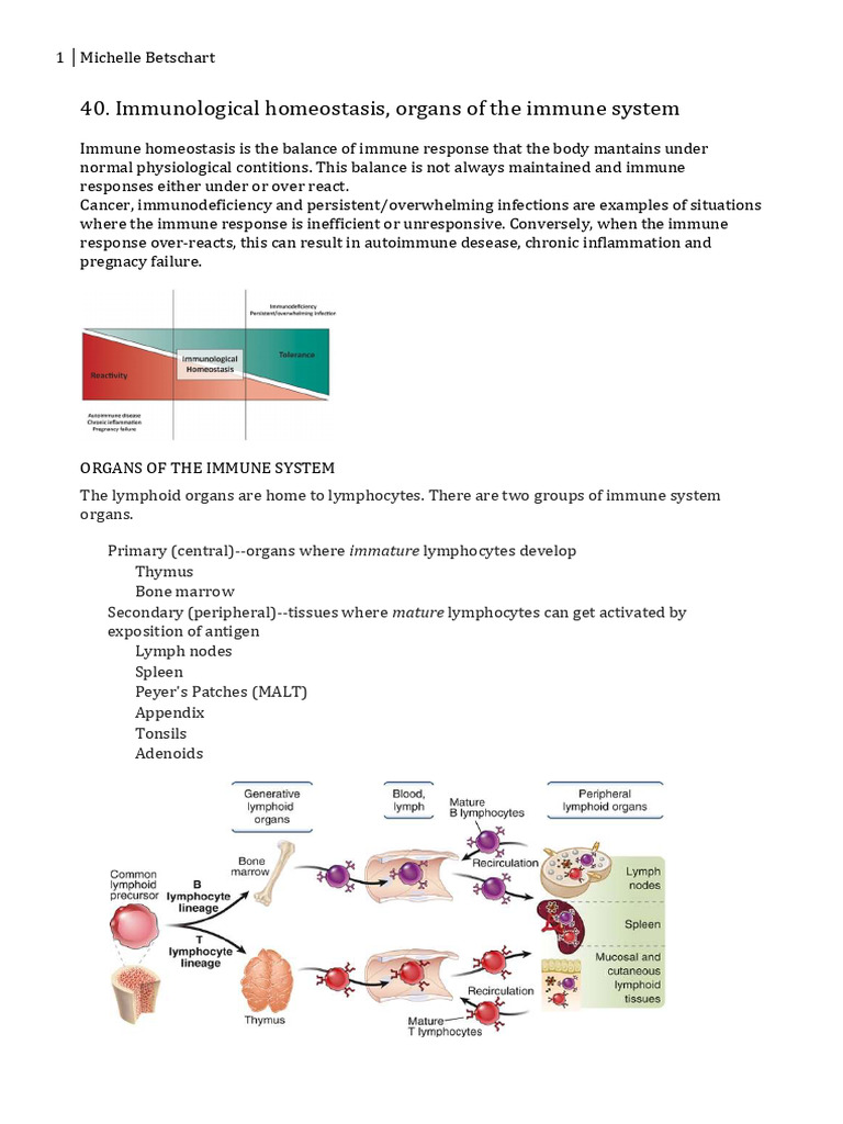 Immunology Summary | PDF | Immune System | Innate Immune System