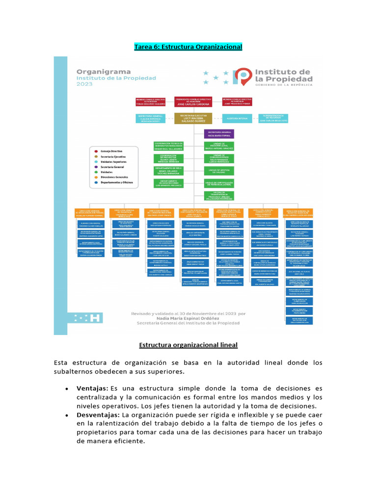 Tarea 6 Estructura Organizacional | PDF | Business | Toma de decisiones