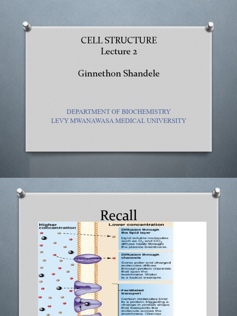 CELL STRUCTURE Lecture 2 | PDF CELL STRUCTURE Lecture 2 | PDF
