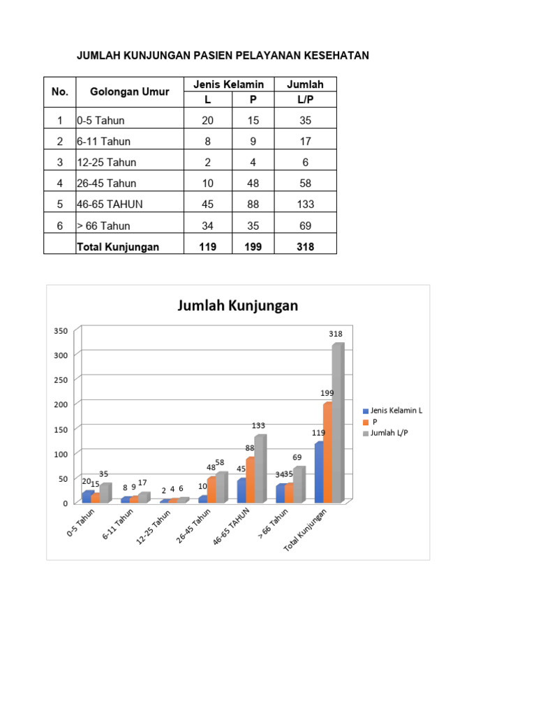 Data Kunjungan Pasien PKB 24 | PDF