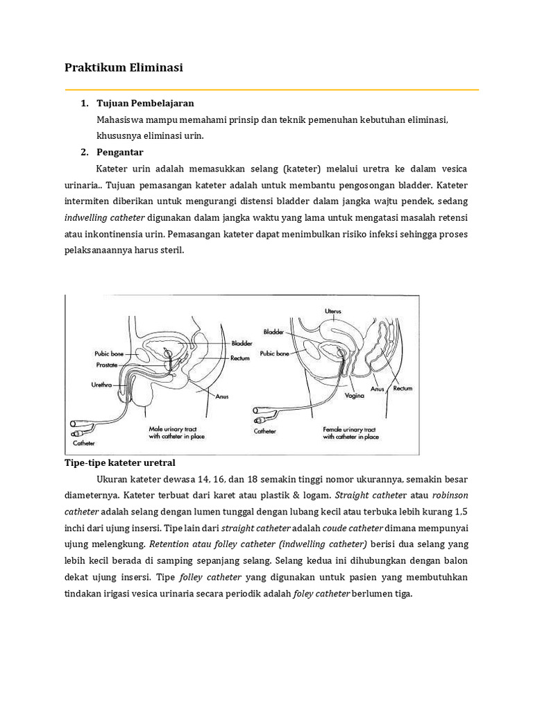 Praktikum Eliminasi KDM 2024 | PDF