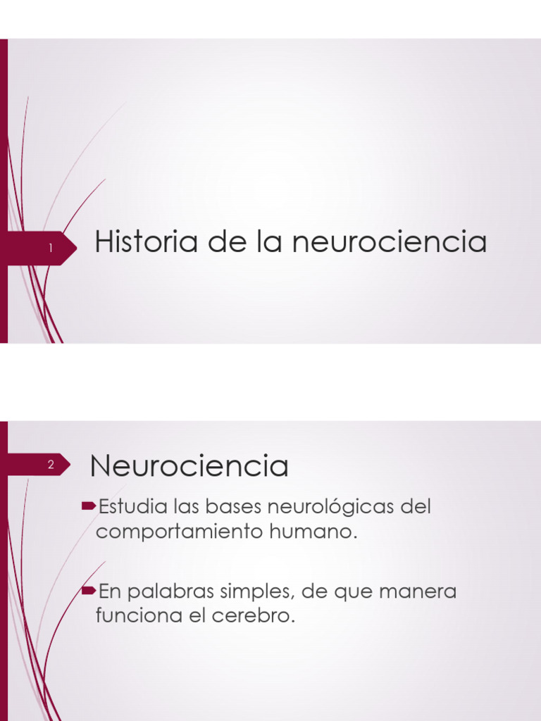 Historia de La Neurociencia | PDF | Cerebro | Neurociencia