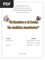 Ejercicios Codman | PDF | Hombro | Articulaciones