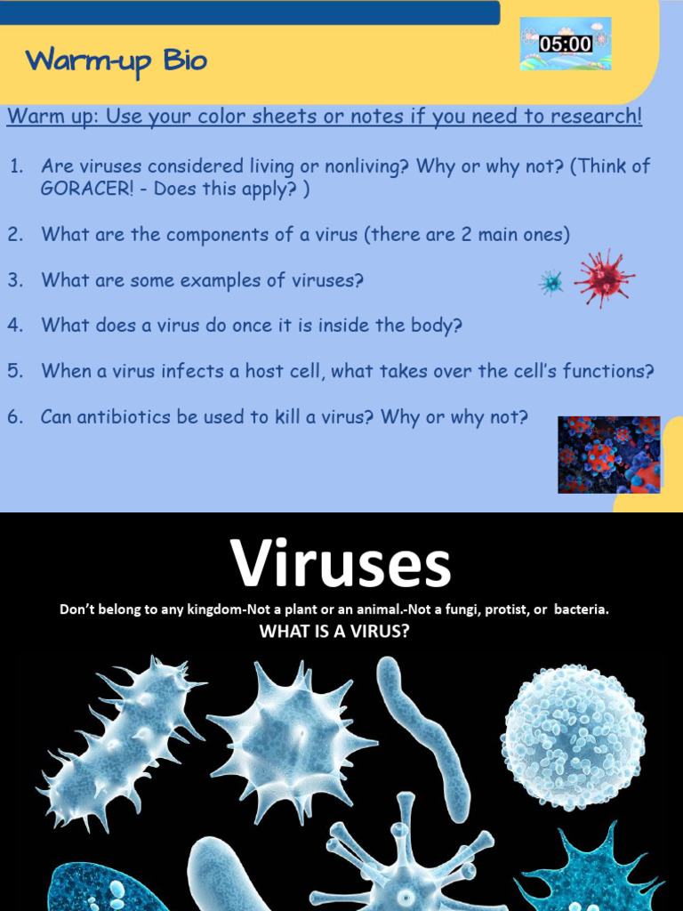 Viruses and Bacteria Notes 2023 | PDF | Virus | Bacteria