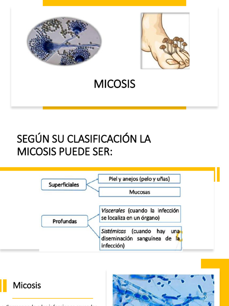 Guía de Micosis y Onicomicosis | PDF | Enfermedades y trastornos ...