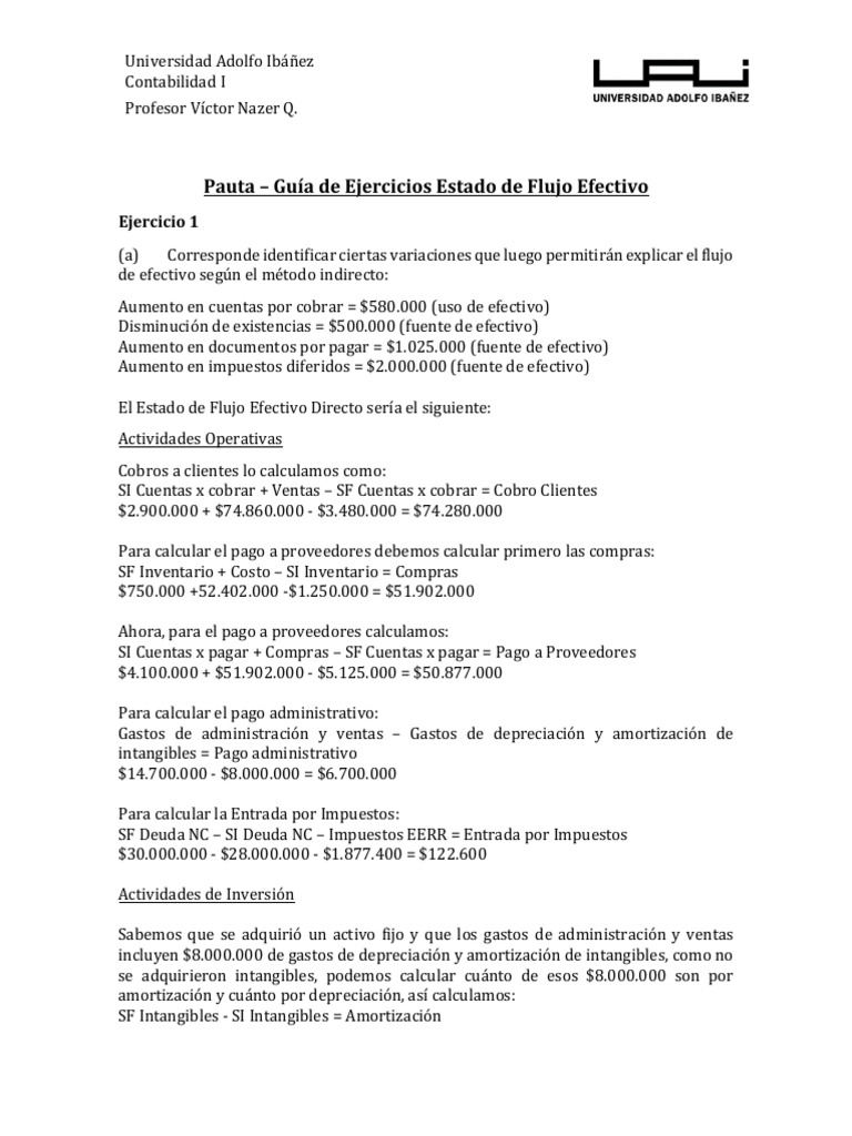 Guía de Ejercicios EFE Pauta Saldoawldasdl | PDF | Flujo de efectivo | Contabilidad