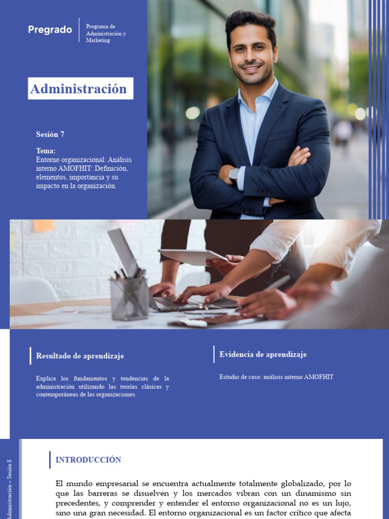 Sesión 08 - Entorno Organizacional - Análisis Interno AMOFHIT ...