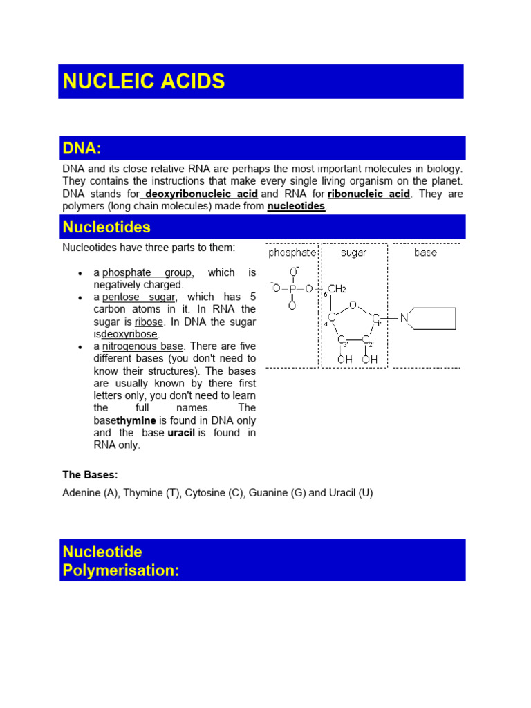 Lecture 5 - Nucleic Acids Dna Genetic Code Transcription Translation | PDF | Dna | Rna