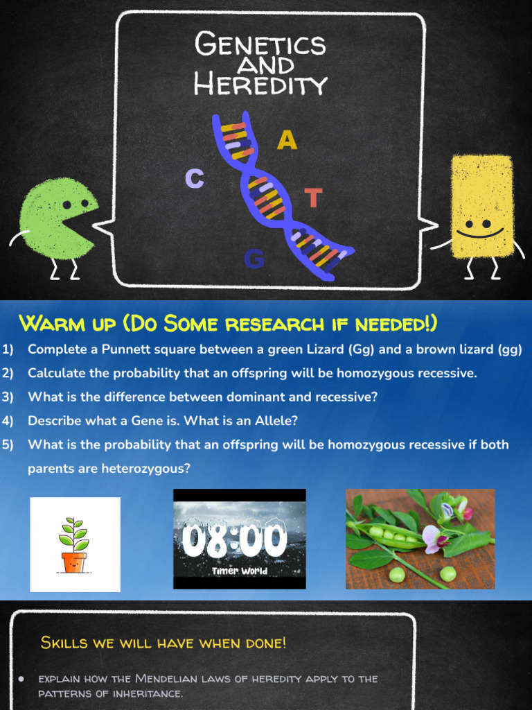 Research Bio Genetics & Heredity Notes 23-24 | PDF | Dominance ...