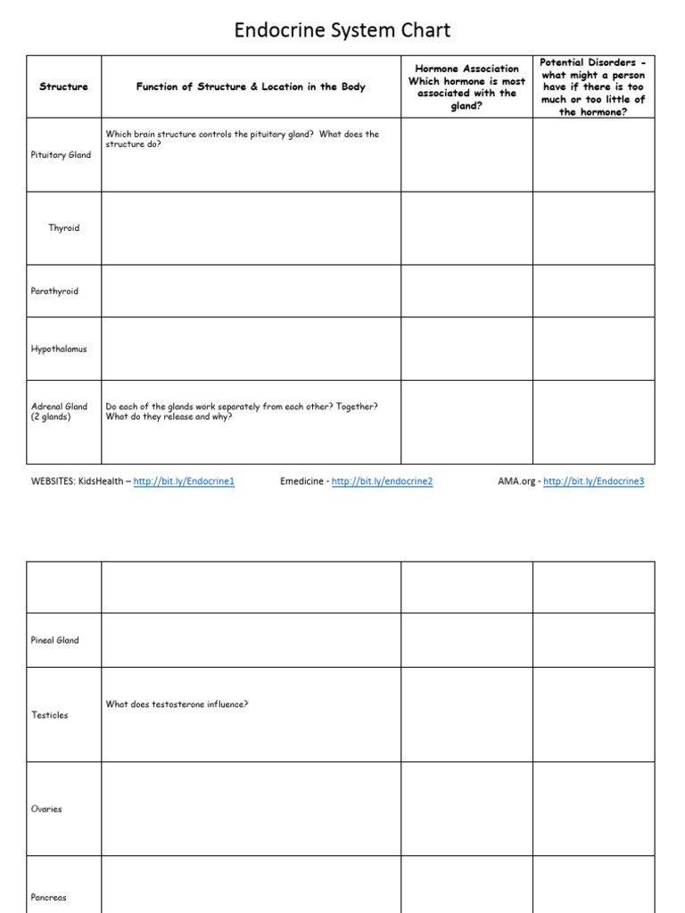 Endocrine System Chart | PDF