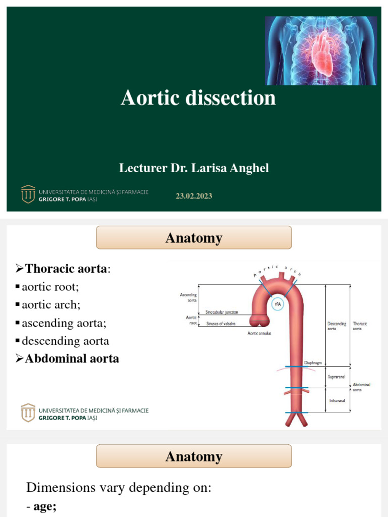 Aortic Dissection | PDF | Aorta | Thorax (Human Anatomy)