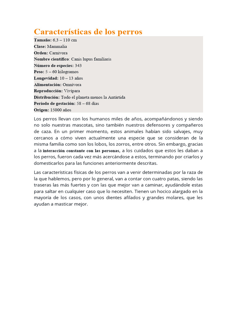 Perro Pdf Zoología