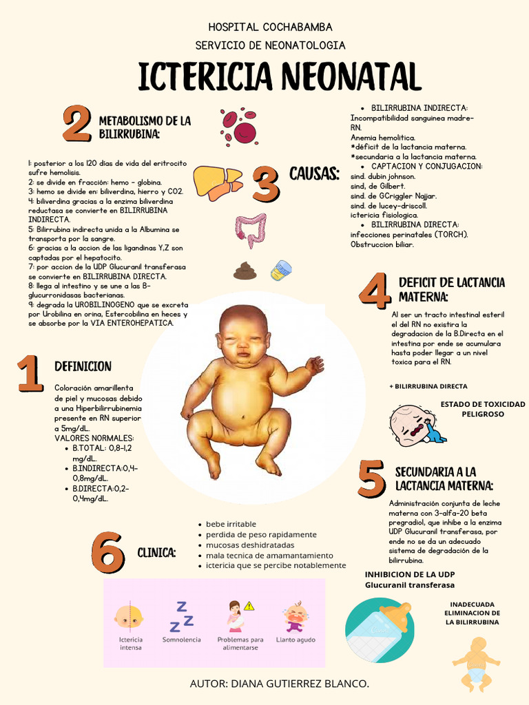 Ictericia Neonatal | PDF | Especialidades Medicas