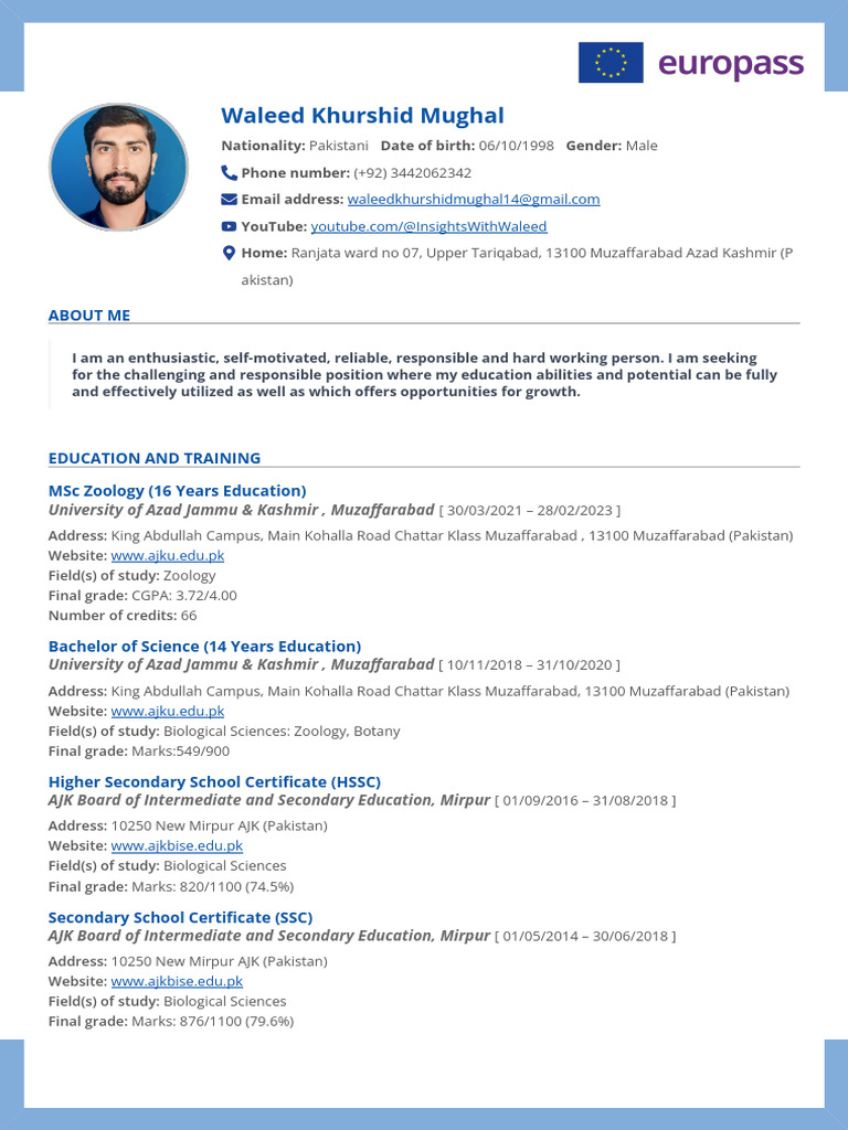 CV - Waleed Khurshid Mughal | PDF