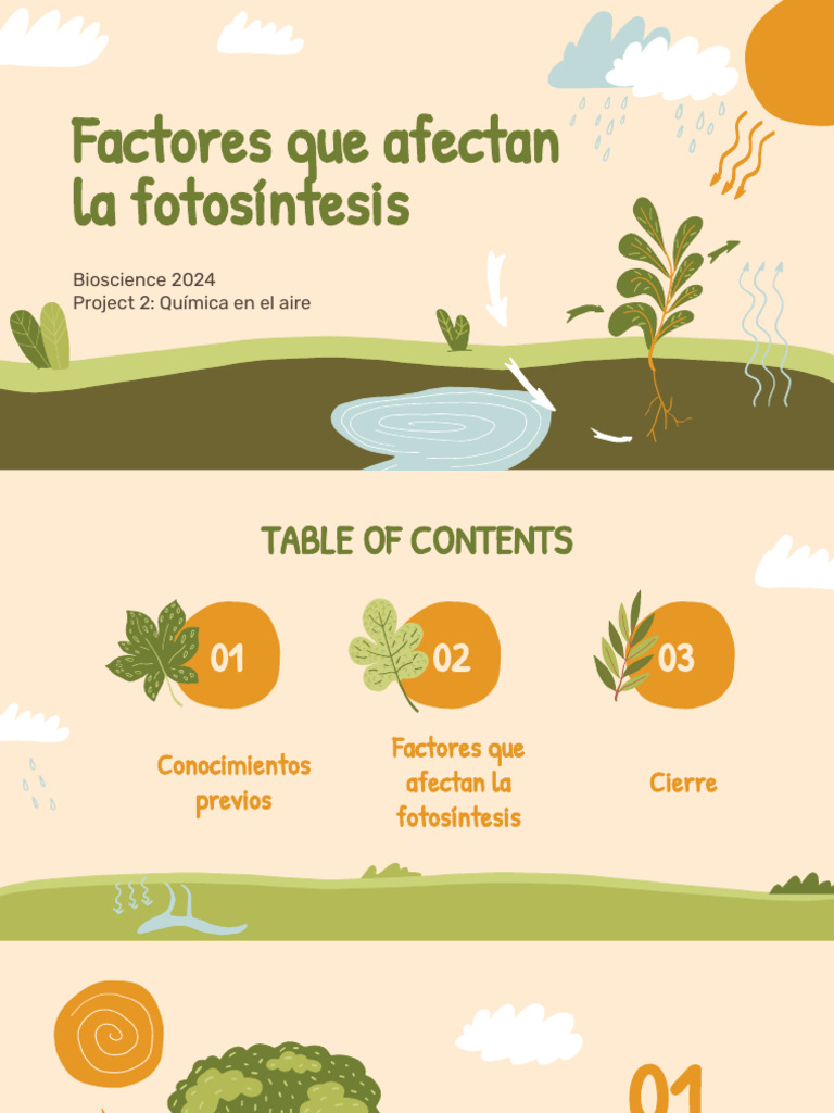 Factores Clave de la Fotosíntesis | PDF | Fotosíntesis | Plantas