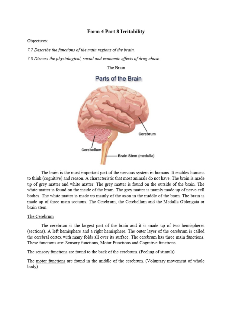 Form 4 Part 8 Irritability | PDF