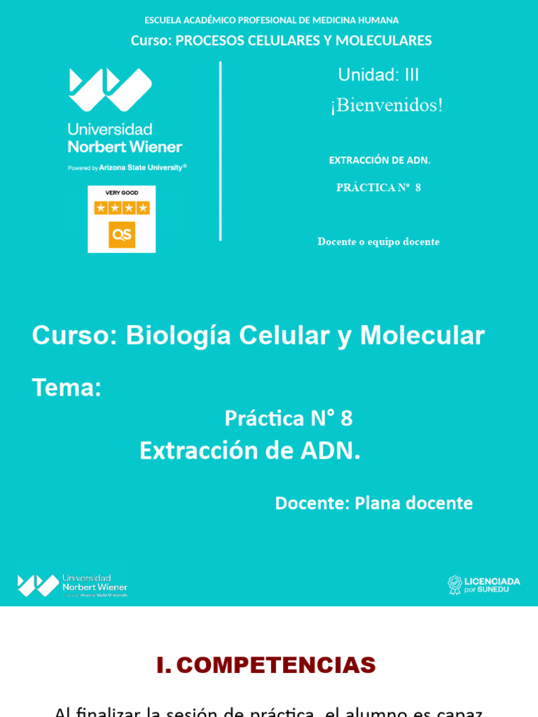 Práctica #8 - Extracción de ADN 2024-I Nva | Descargar gratis PDF | Adn | Biología Celular)