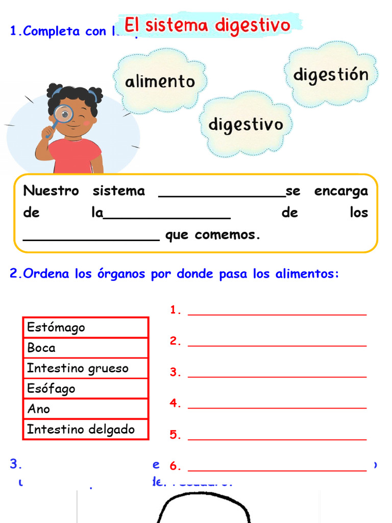 FICHA EL SISTEMA DIGESTIVO 2° GRADO MAESTRA JANET | PDF