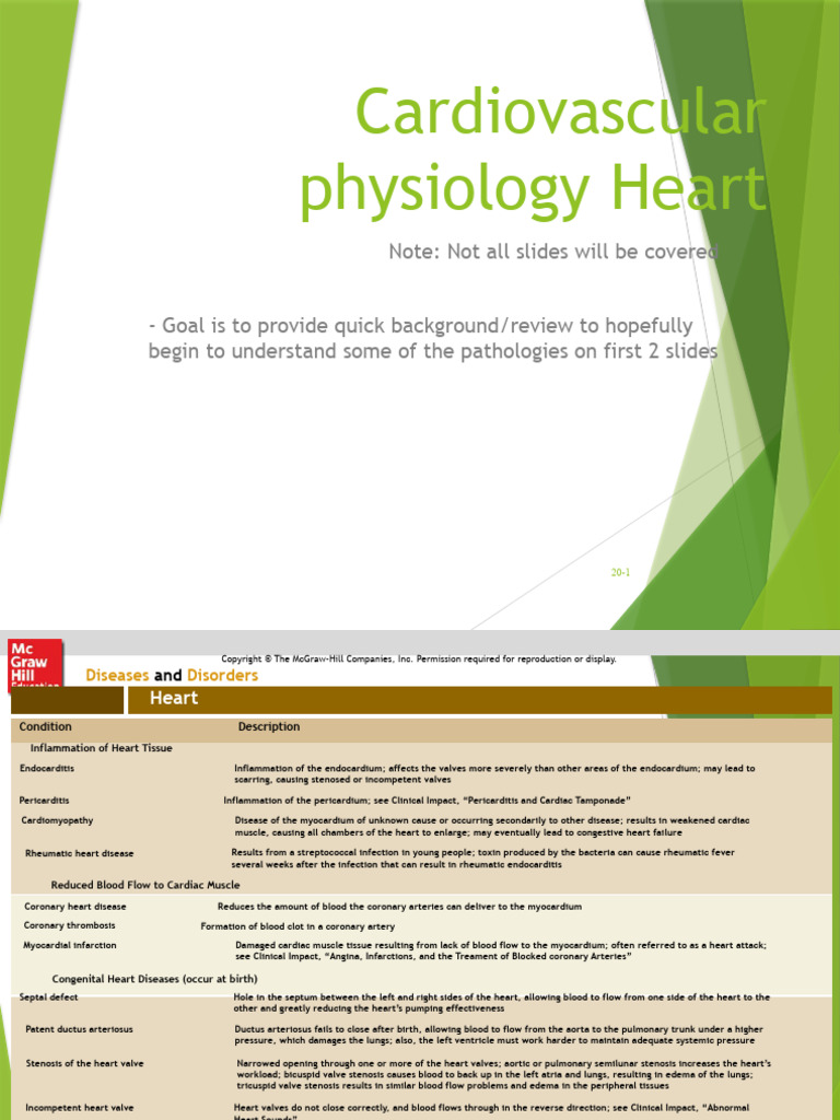 PM4 Cardiovascular Physiology 2 | PDF | Heart Valve | Heart