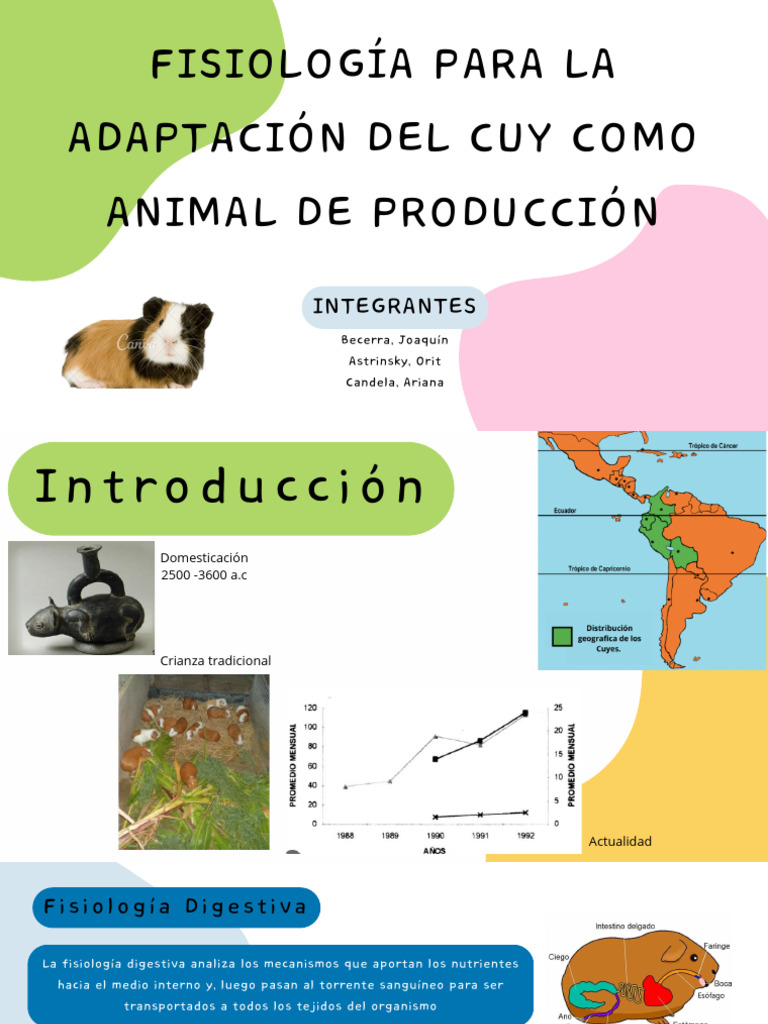 Fisiología Para La Adaptación Del Cuy Como Animal de Producción ...