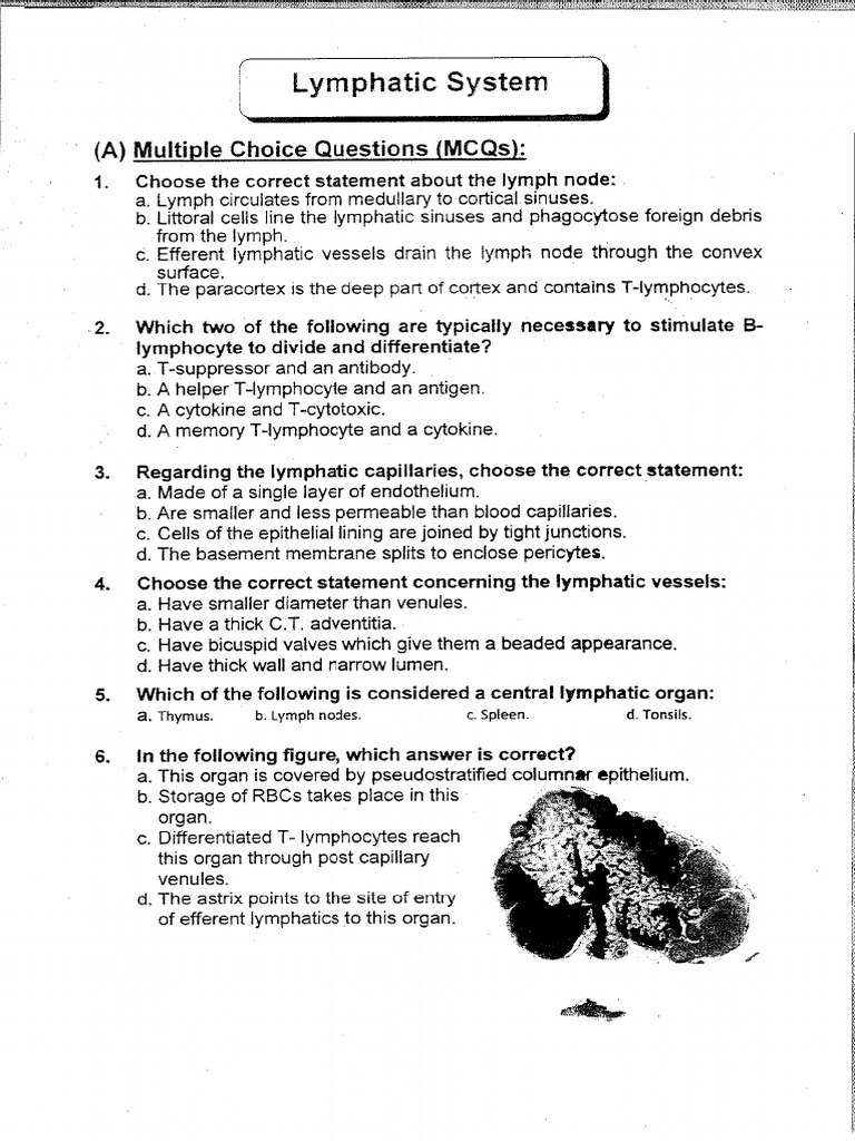 HISTO MCQ (Lymphatic System) | PDF