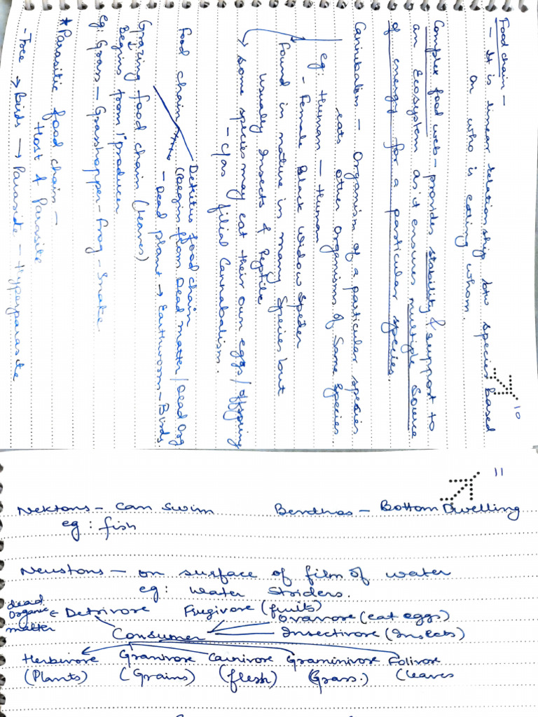 Adobe Scan 03-Jun-2024 | PDF