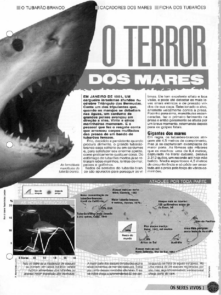 Descobrir - Uma.Aventura - No.Mundo - Desconhecido-7 | PDF