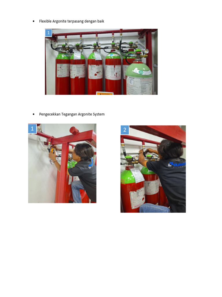 Argonite & Smoke Detector Maintenance Guide | PDF