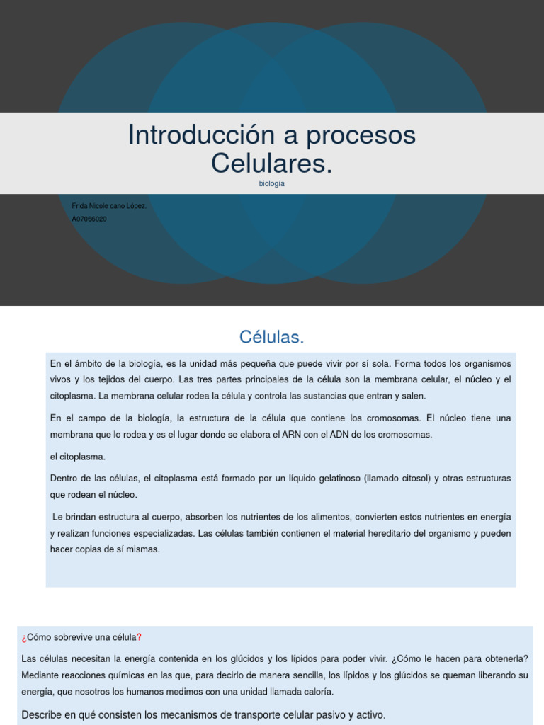 Procesos celulares: energía y reproducción | PDF | Trifosfato de ...