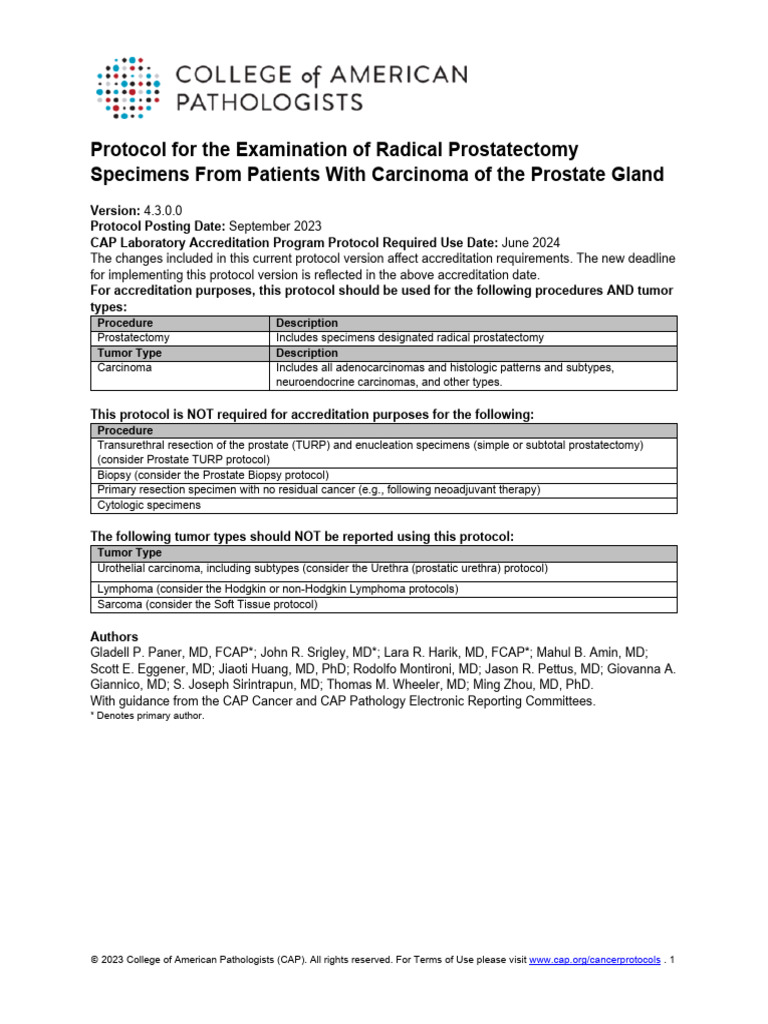 Prostate 4.3.0.0.rel Capcp | PDF | Adenocarcinoma | Prostate Cancer