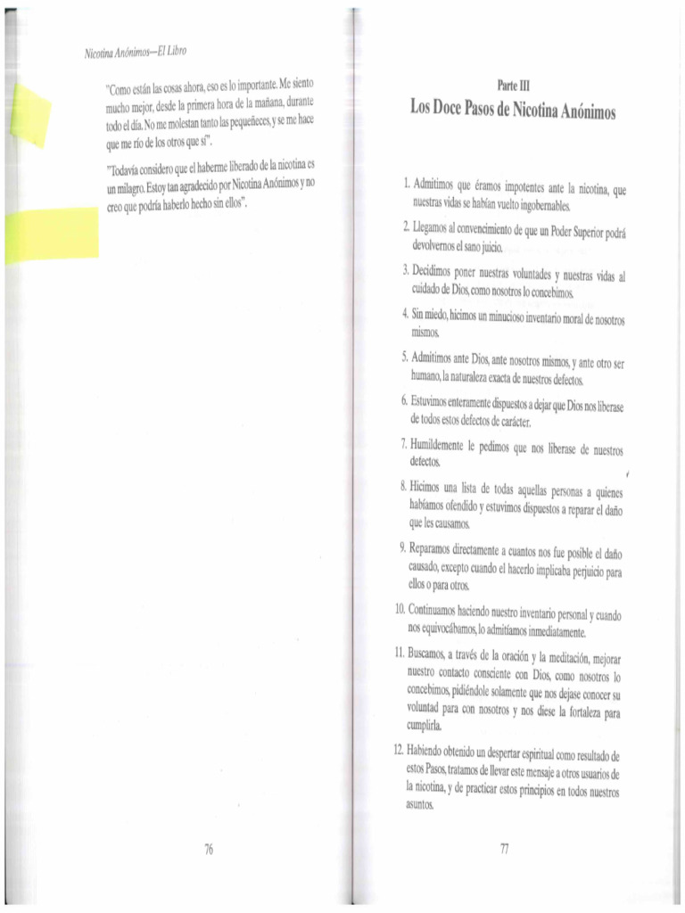 12 Pasos de NicA | PDF