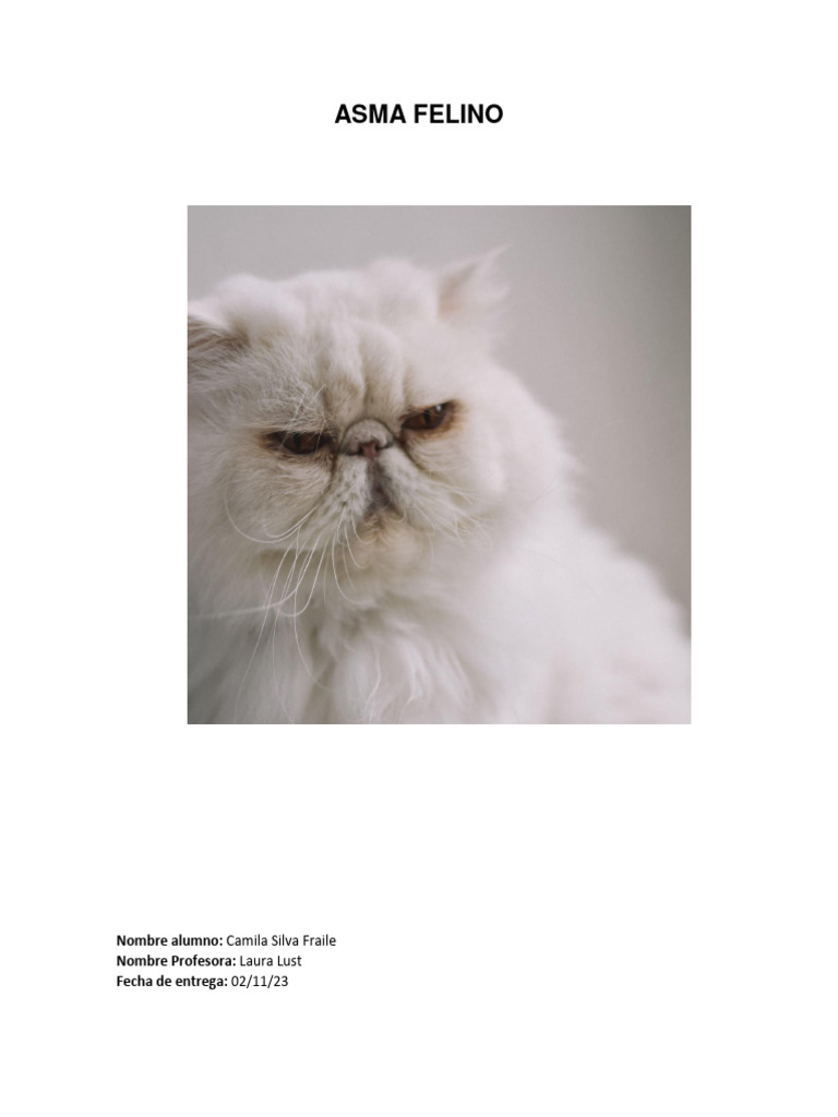 Asma en Gatos: Causas y Tratamiento | PDF | Tos | Asma