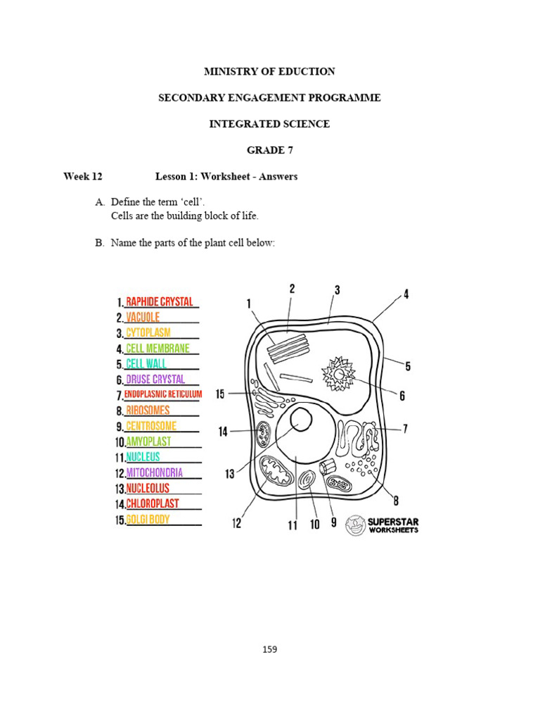 Answer - Grade 7 Integrated Science Week 12 Lesson 1 Worksheets 1 and ...
