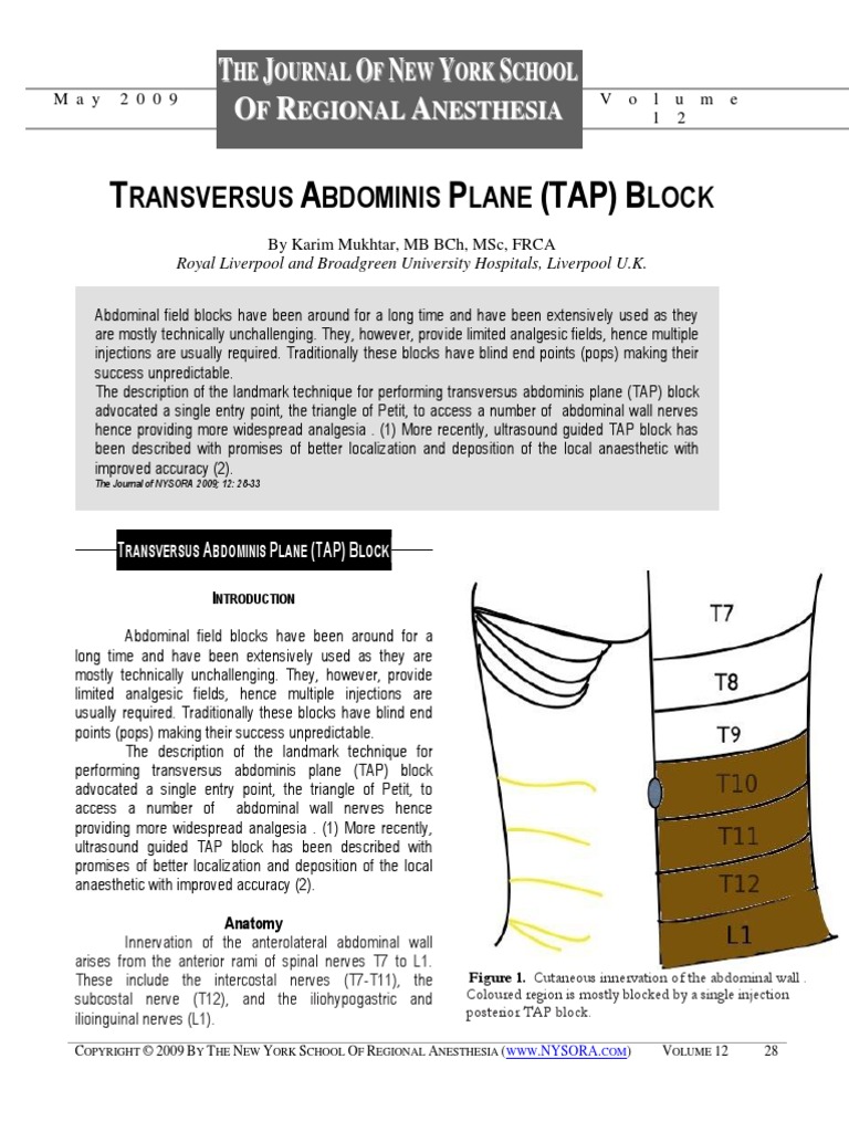Transversus Abdominis Plane (Tap) Block | PDF | Abdomen | Human Anatomy