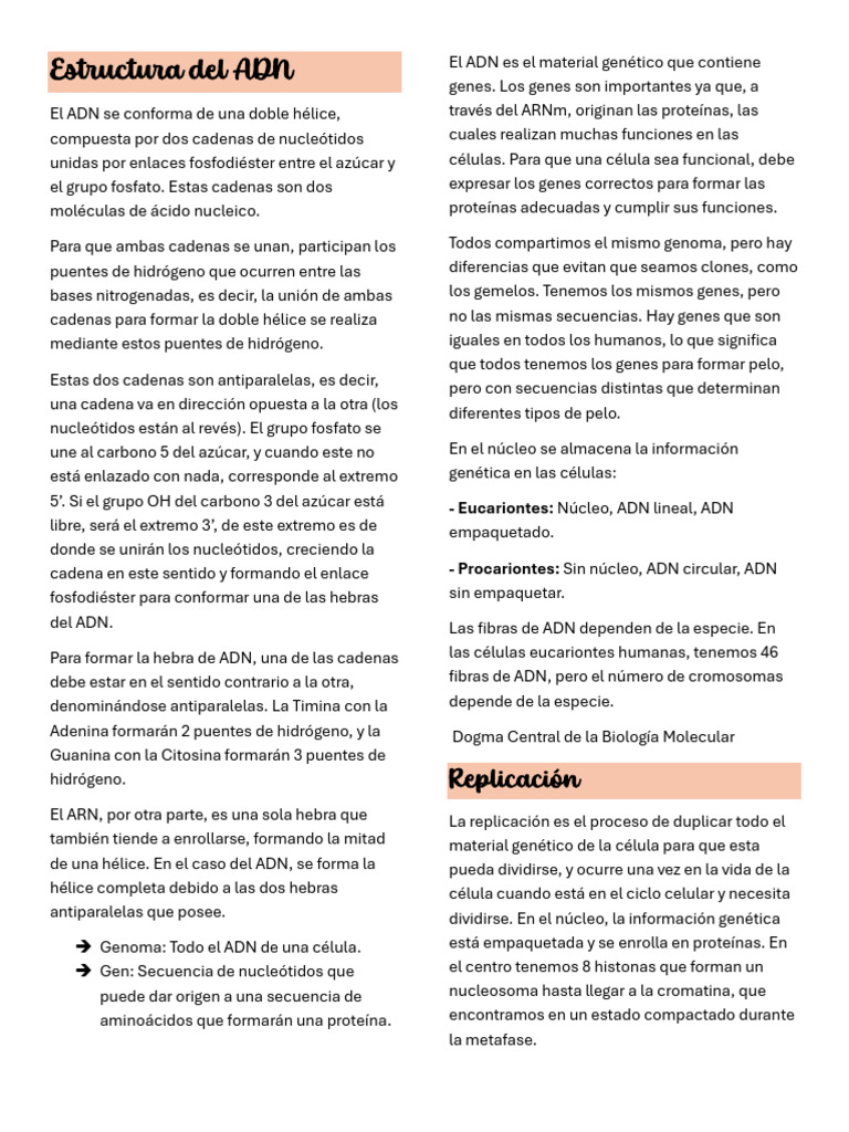 Estructura del ADN | Descargar gratis PDF | Adn | Traducción (biología)
