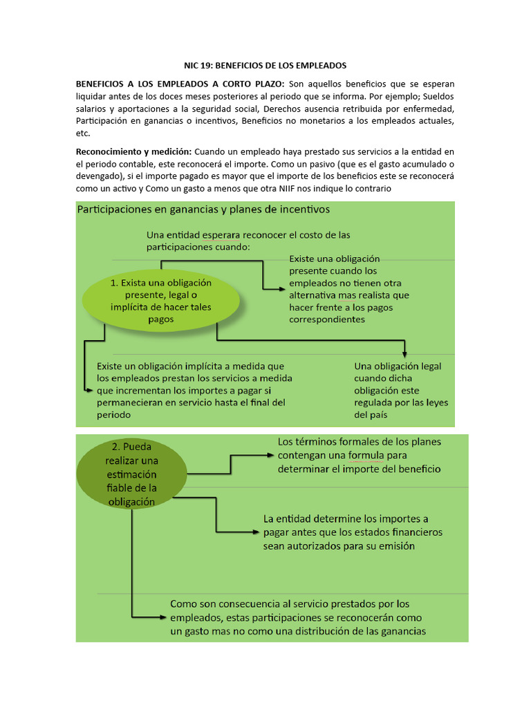 NIC 19 | Descargar gratis PDF | normas internacionales de INFORMACION ...