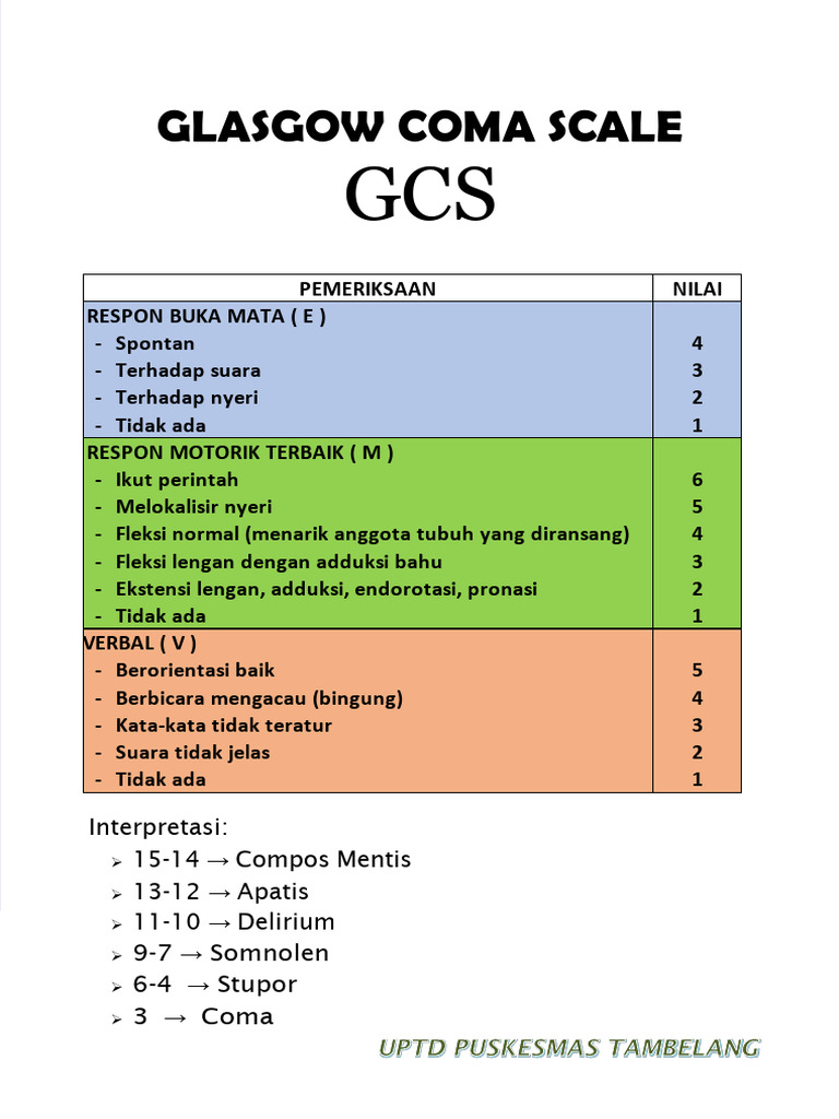 PDF Glasgow Coma Scale - Compress - 040005 | PDF
