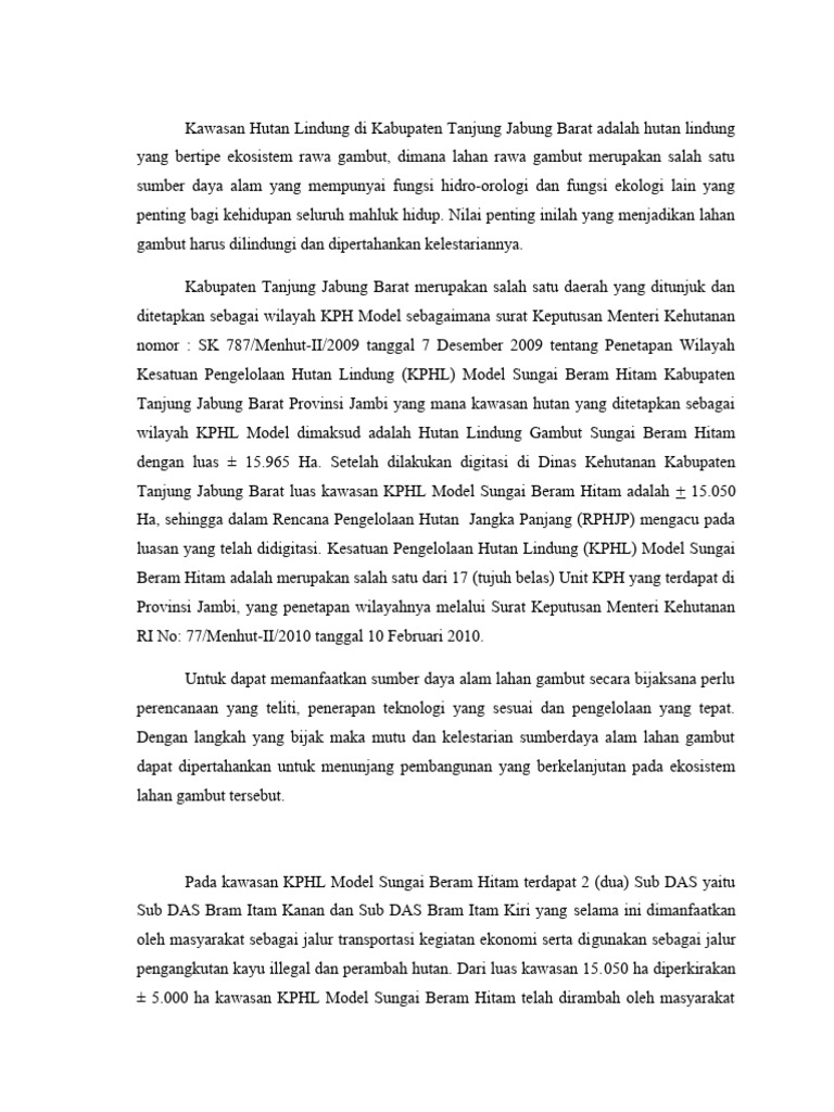 Gambaran Umum HLG Bram Hitam | PDF