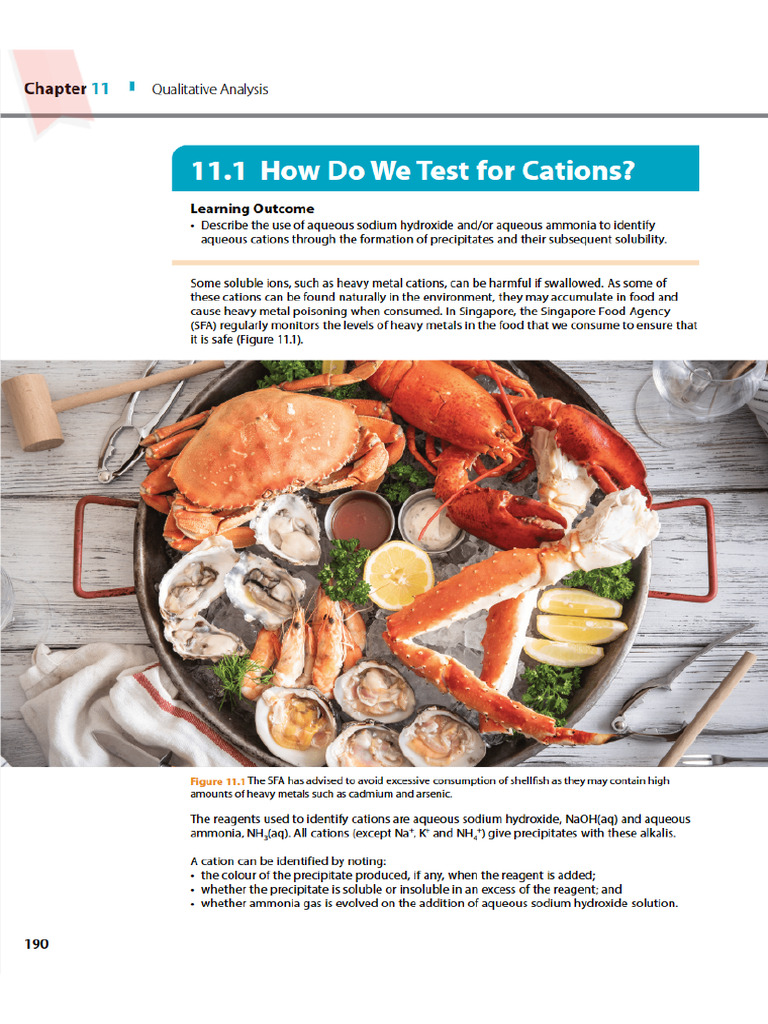 Qualitative Analysis | PDF