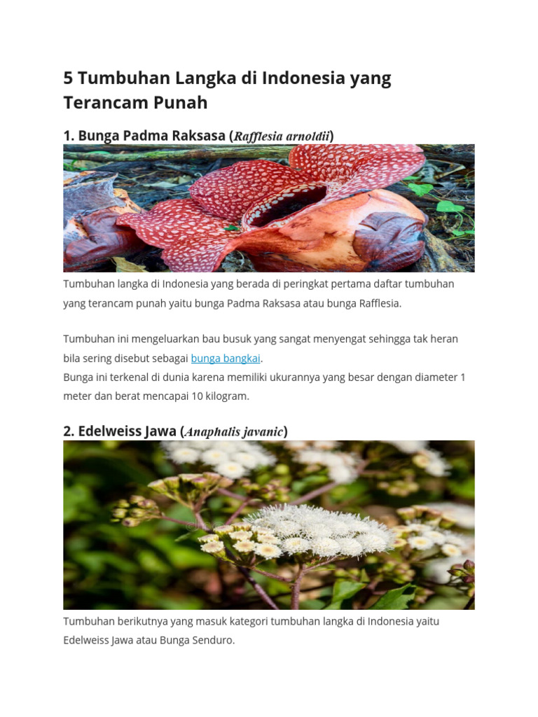 5 Tumbuhan Langka Di Indonesia Yang Terancam Punah | PDF | Griya & Taman | Sains & Matematika