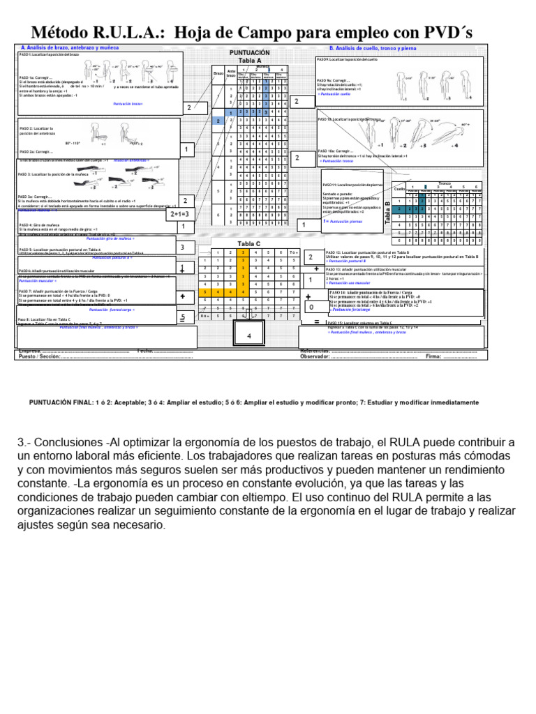Metodo Rula Hojapvd 1 | Descargar gratis PDF | Factores humanos y ergonomía