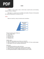 Lund and Browder Chart | PDF | Burn | Skin